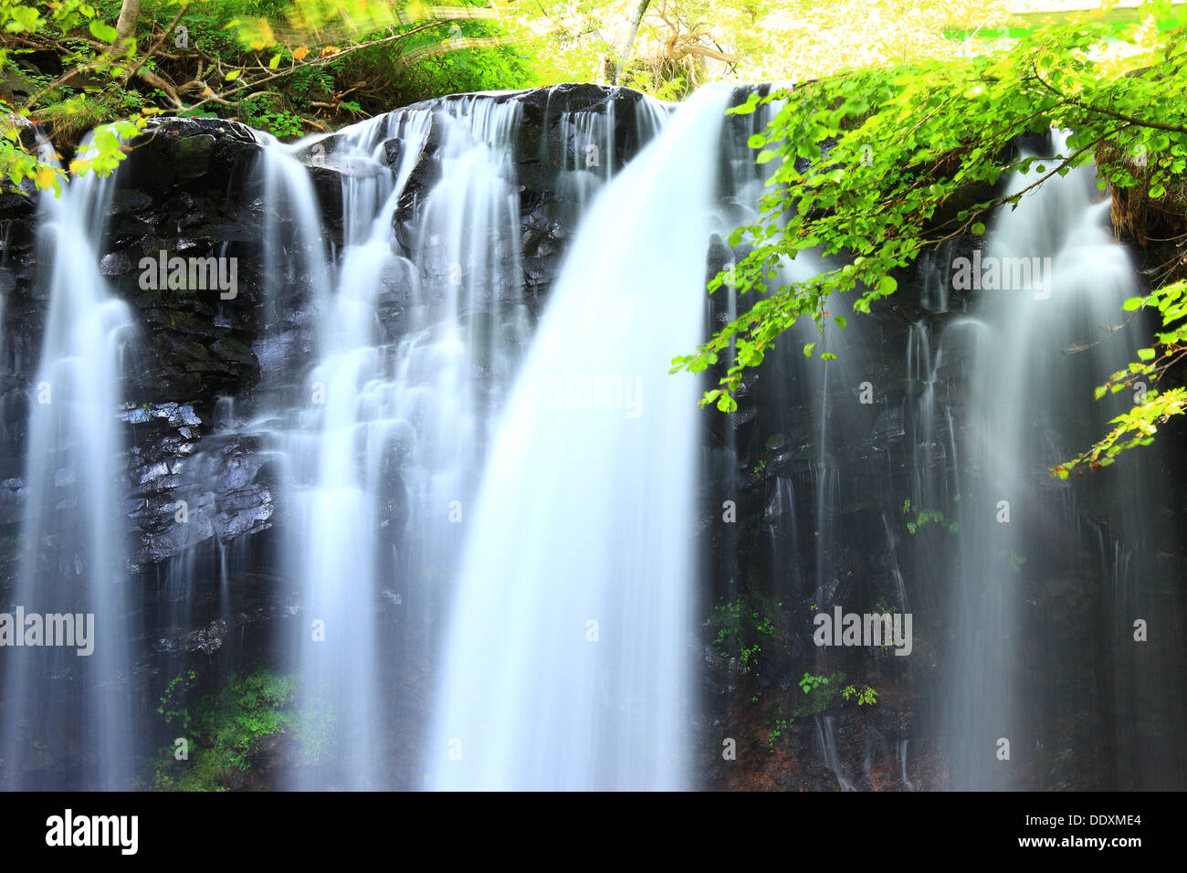 Otome waterfall, Tochigi Prefecture Stock Photo - Alamy