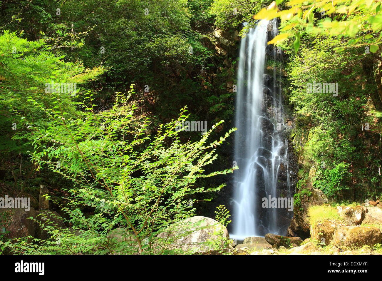 Ryugin waterfall, Gifu Prefecture Stock Photo - Alamy