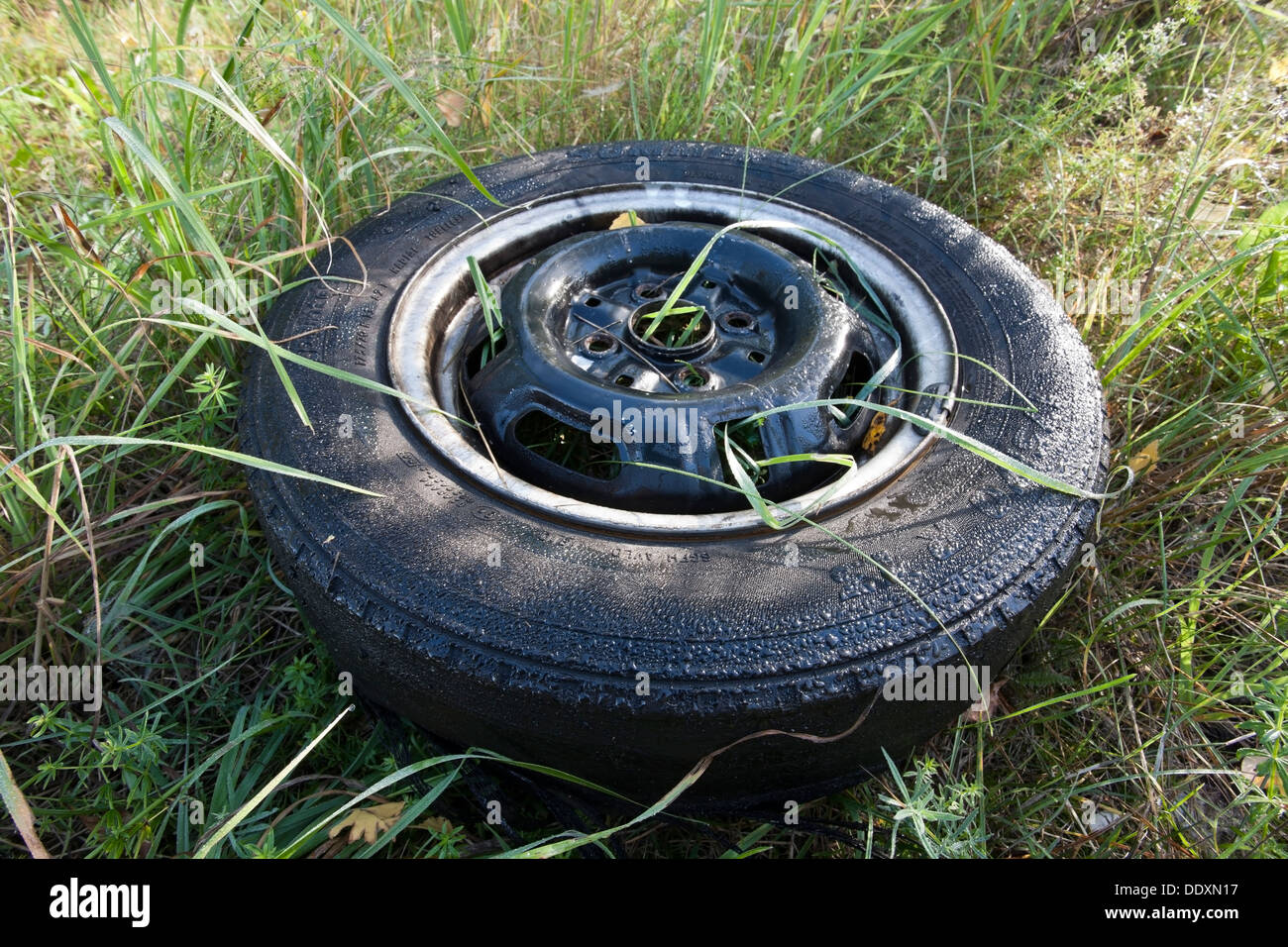 car tyre in grass Stock Photo - Alamy