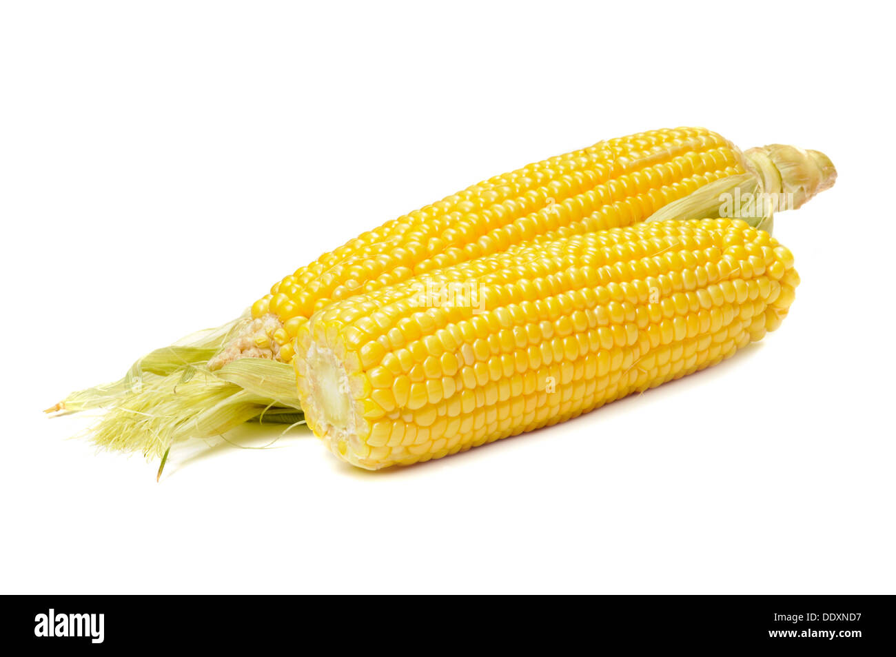 Ear of corn isolated on a white background Stock Photo - Alamy