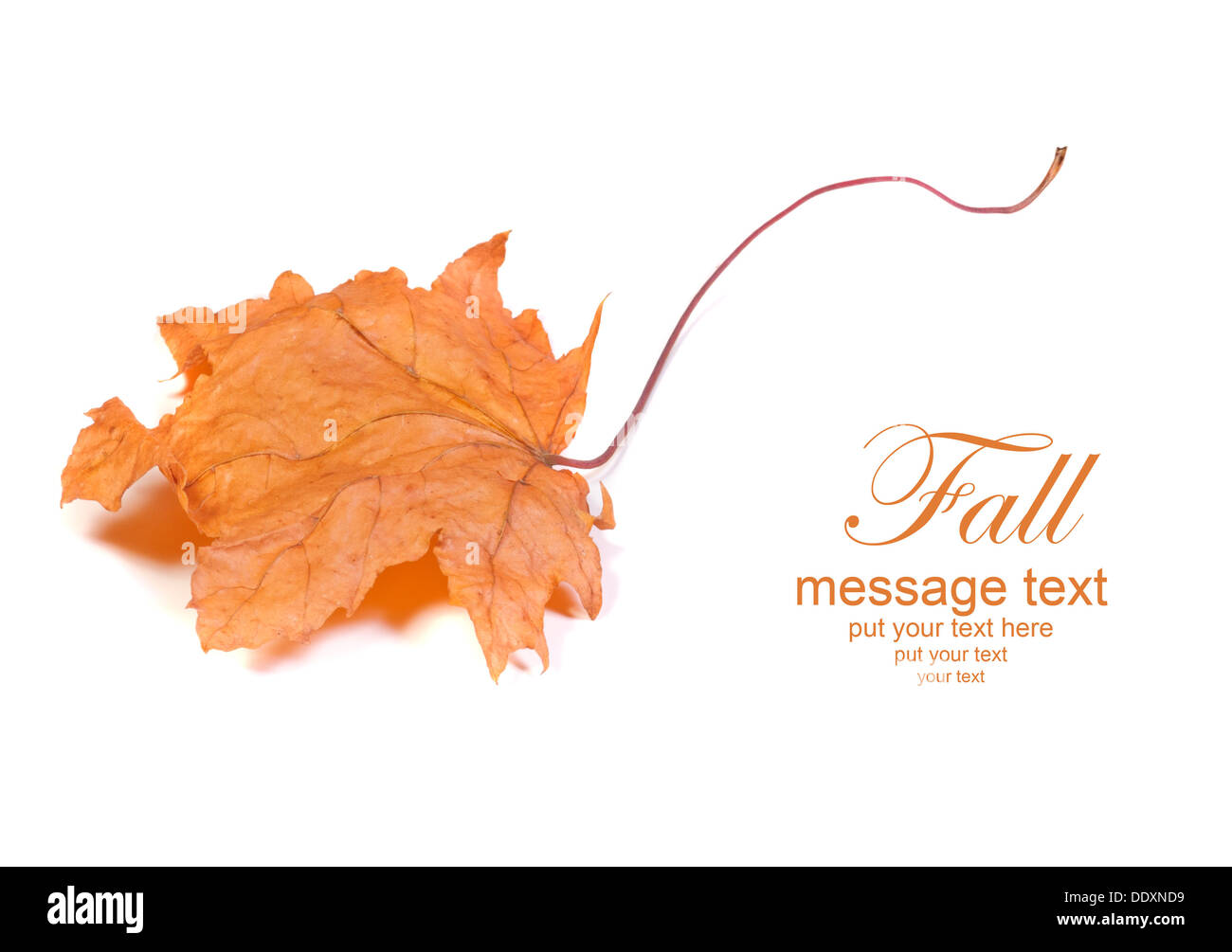 Golden autumn maple leaf Cut Out Stock Images & Pictures - Alamy