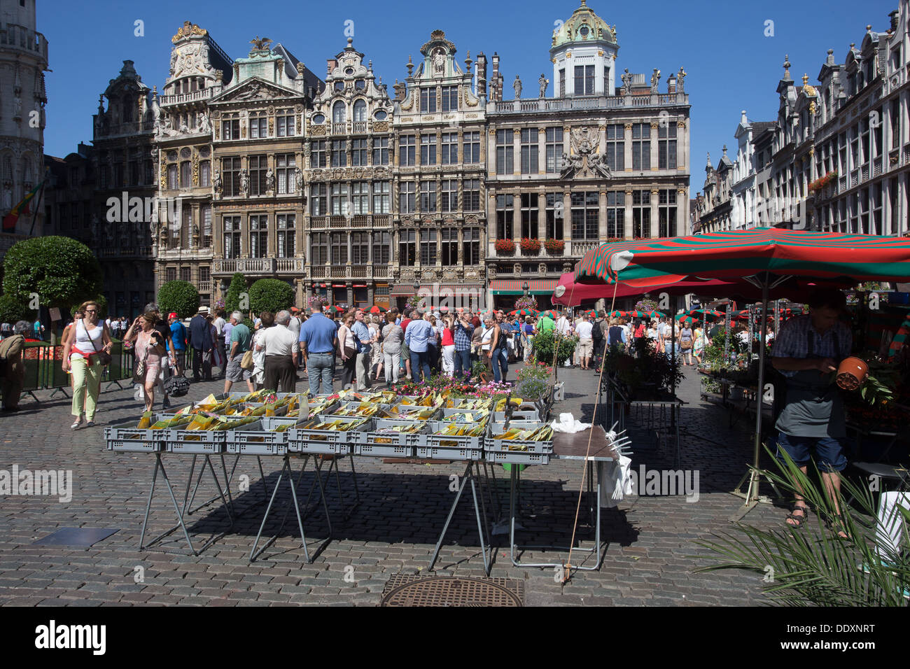Grote Markt Grand Place Brussels Bruxelles Belgium Belgique Belgian ...