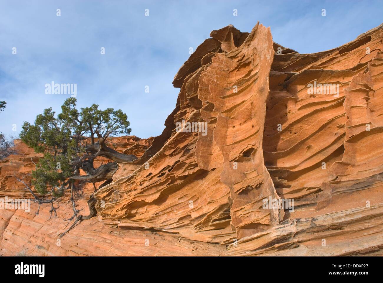 Cross of the south hi-res stock photography and images - Alamy