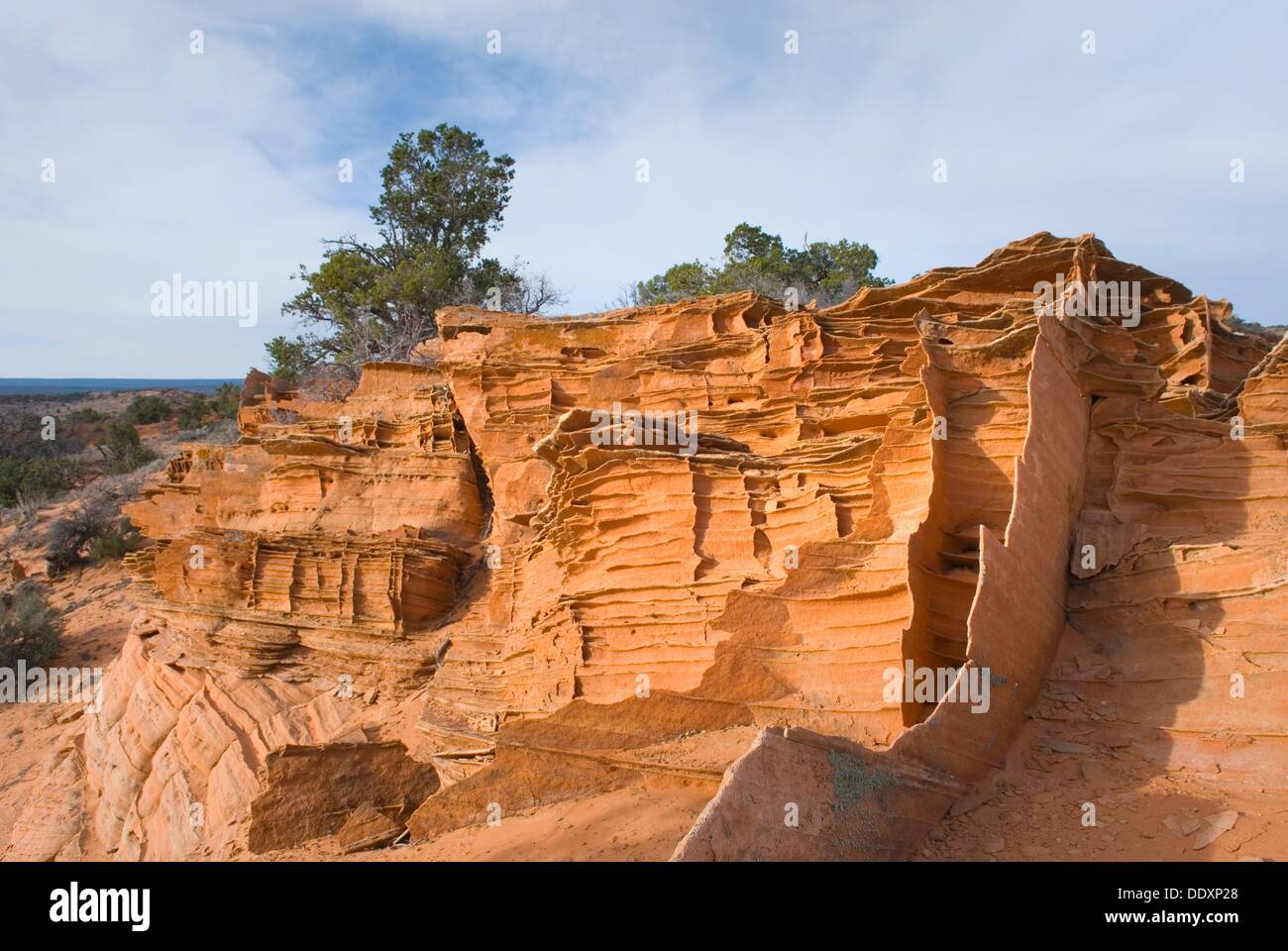 Thin bedded hi-res stock photography and images - Alamy