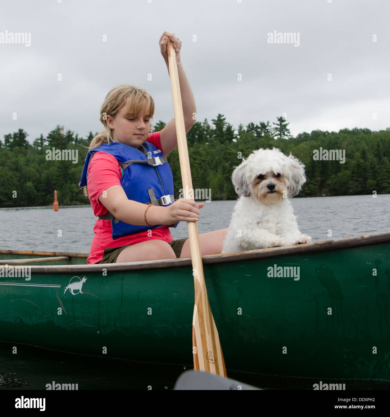 Girl in a canoe with her Zuchon puppy, Lake of The Woods, Keewatin ...