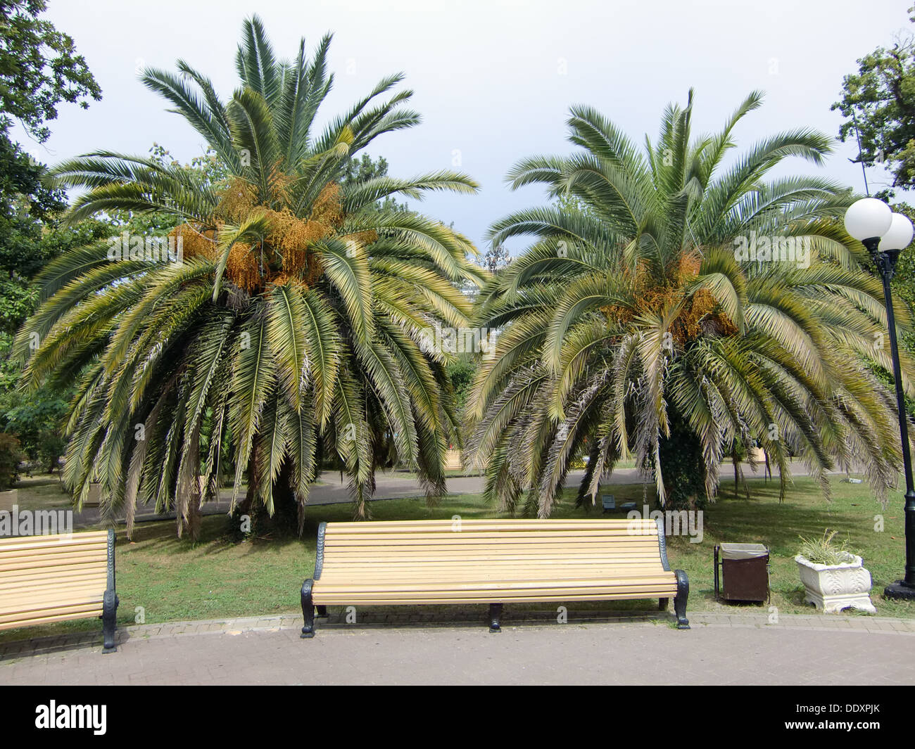 Riviera park sochi hi-res stock photography and images - Alamy
