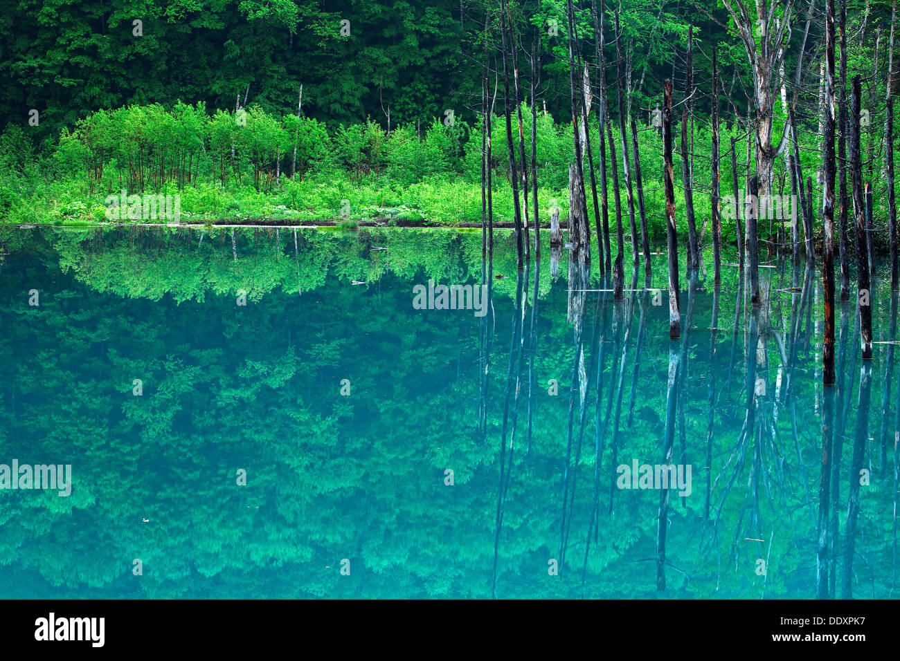 Biei hokkaido blue pond hi-res stock photography and images - Alamy