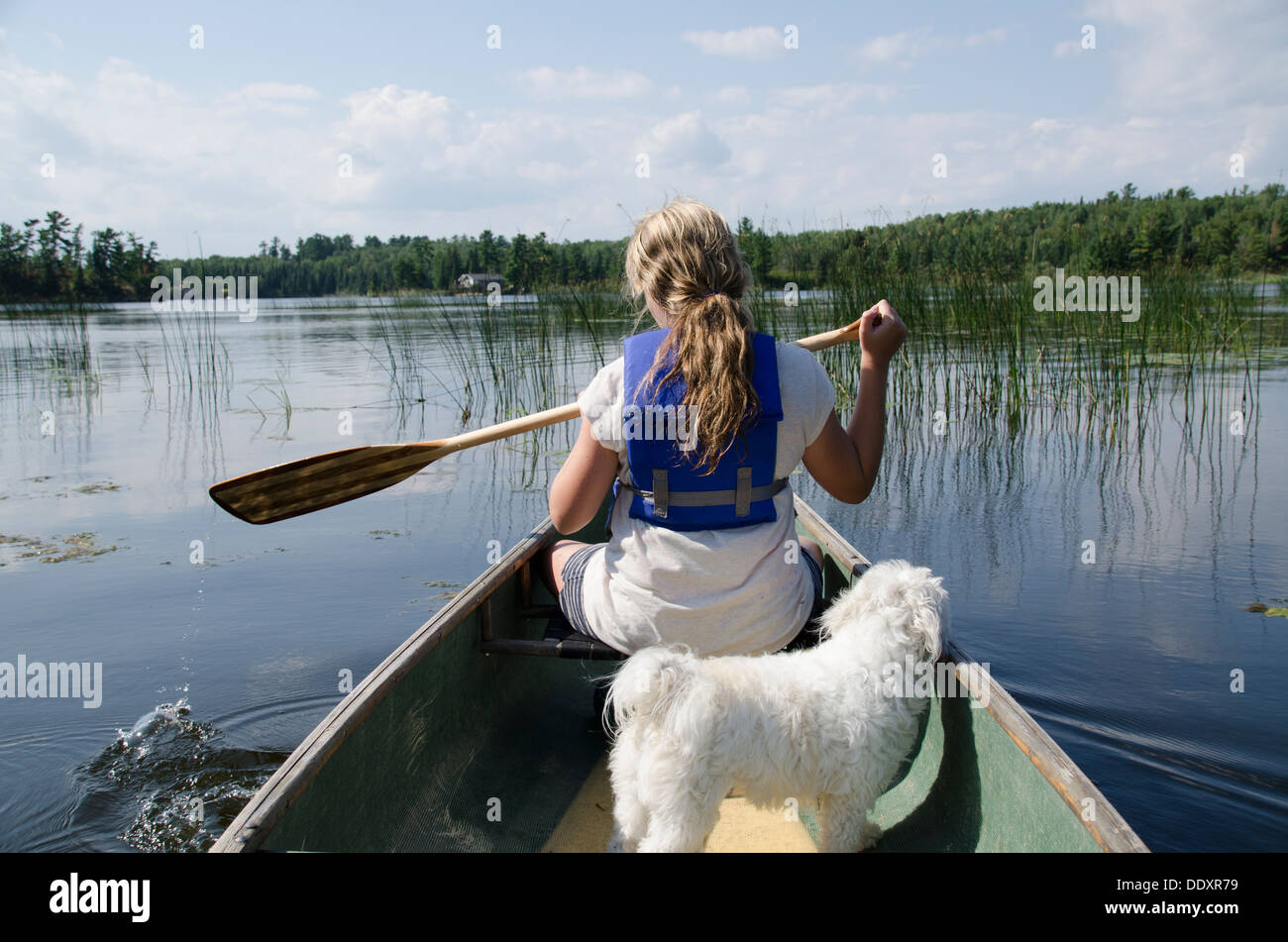Girl boating with her Zuchon puppy at Lake of The Woods, Keewatin ...