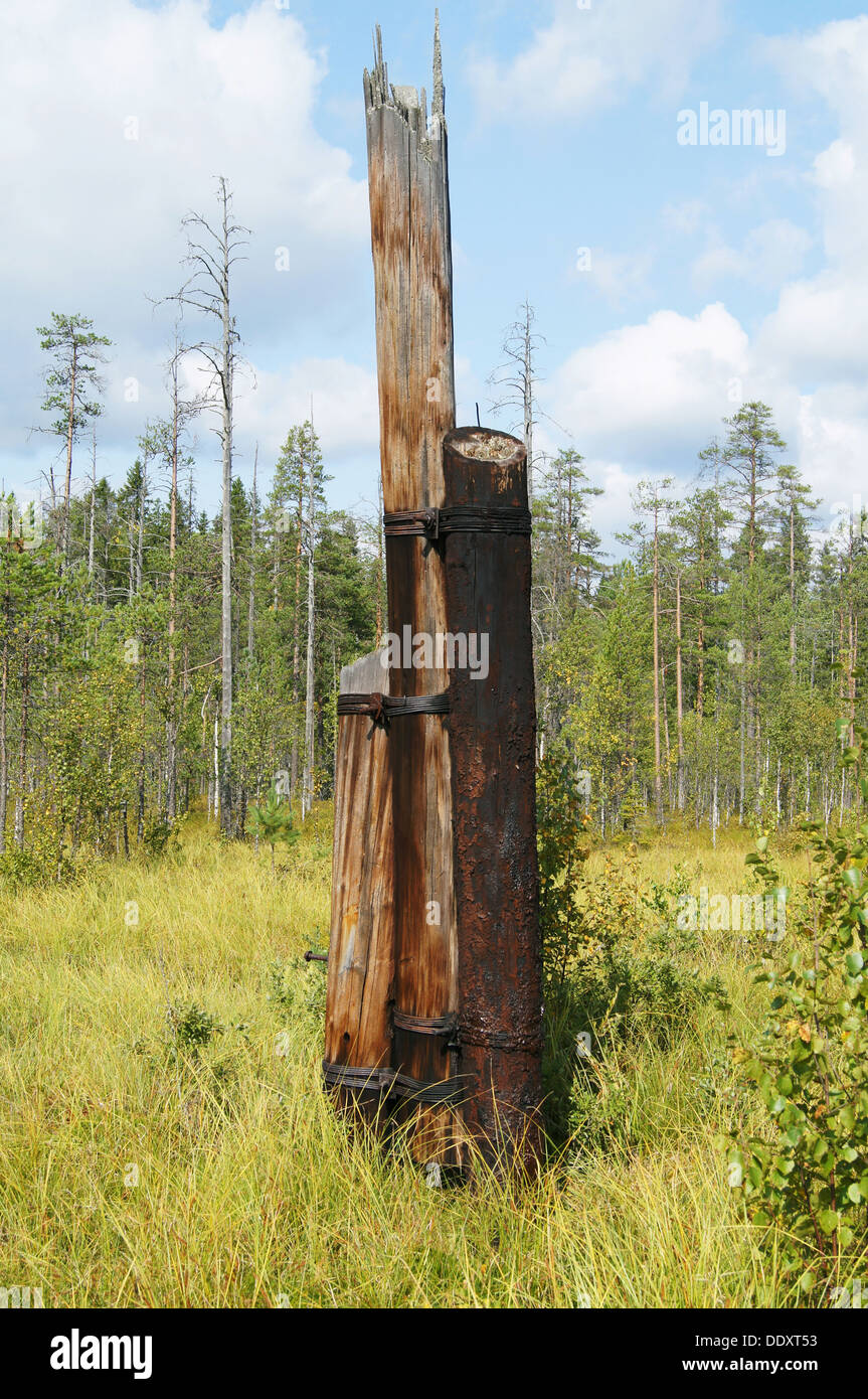 Collapsed old wooden power line pole Stock Photo - Alamy