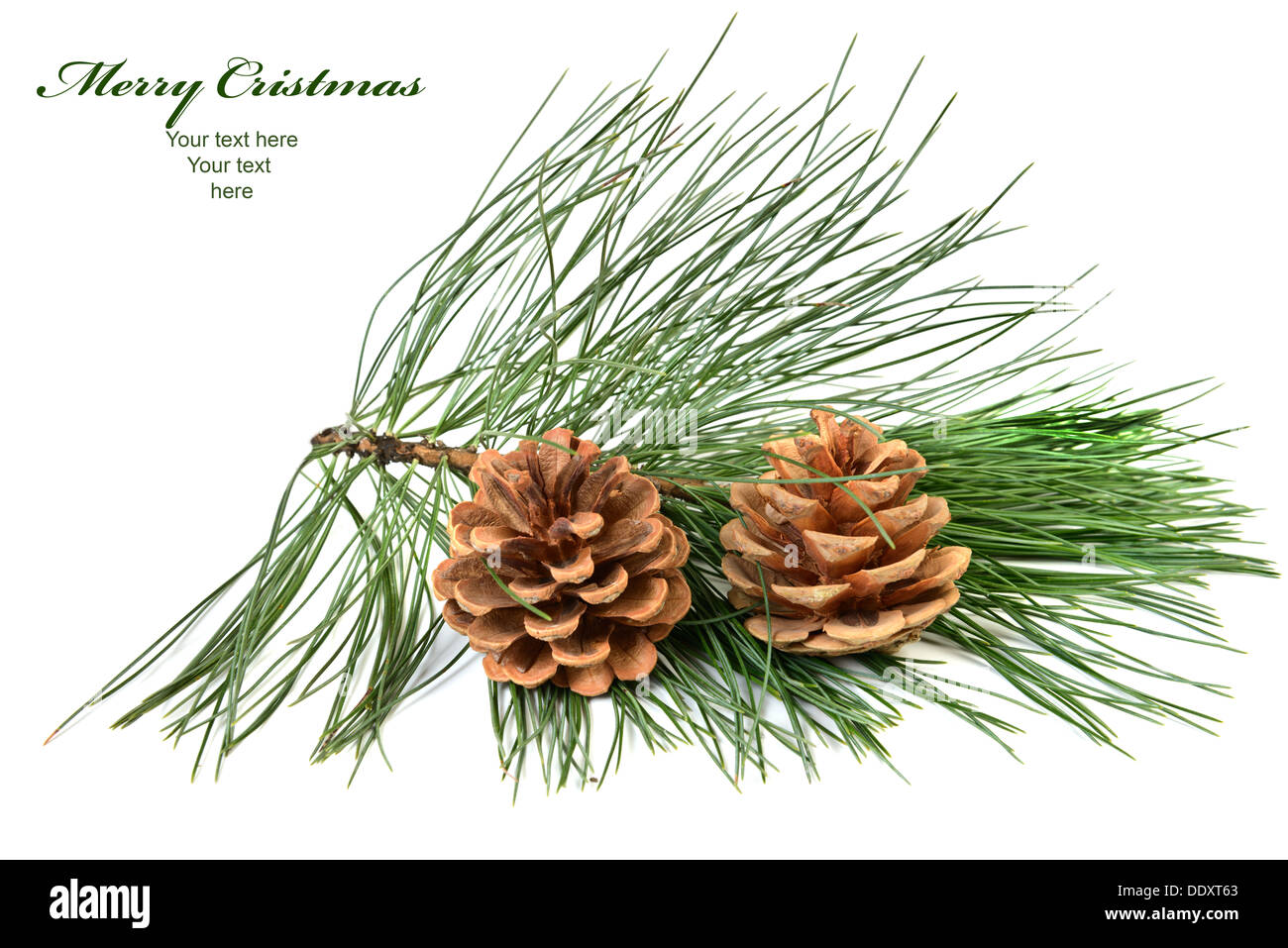 Evergreen tree Cut Out Stock Images & Pictures - Alamy