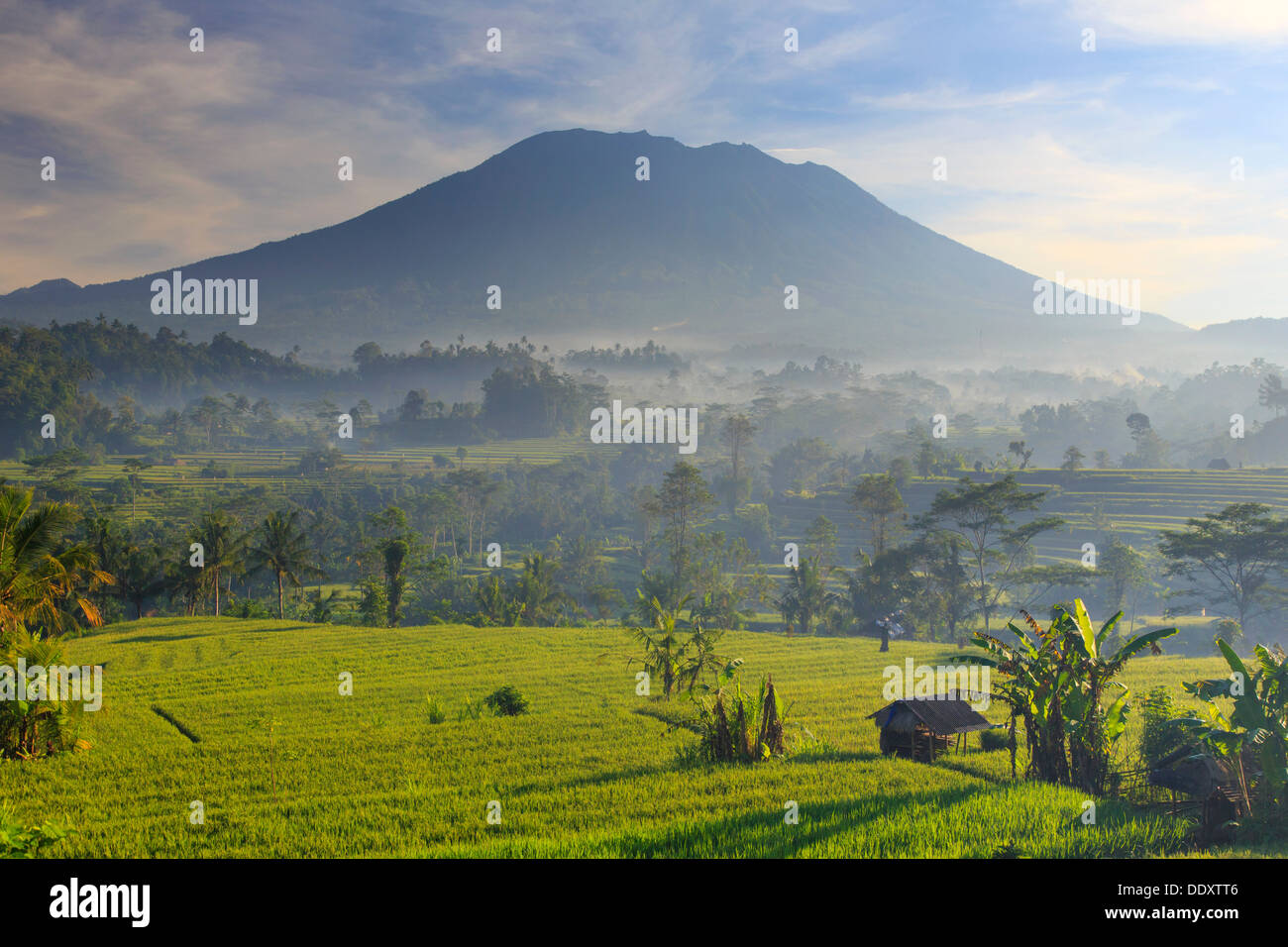 Indonesia, Bali, Sidemen Valley, Rice Fields and Gunung Agung Volcano ...