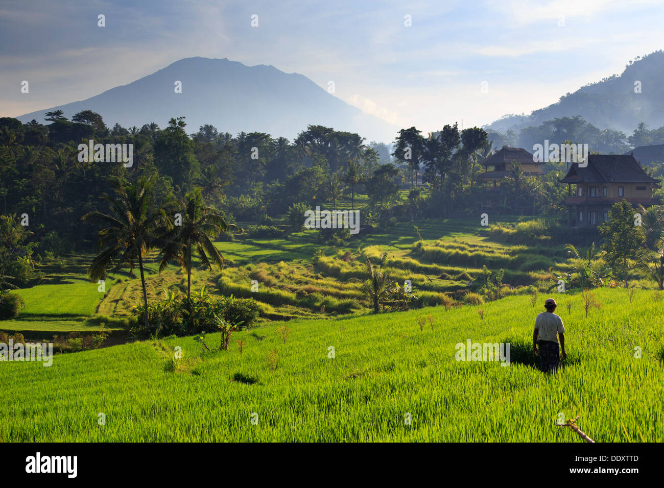 Indonesia, Bali, Sidemen Valley, Rice Fields and Gunung Agung Volcano ...