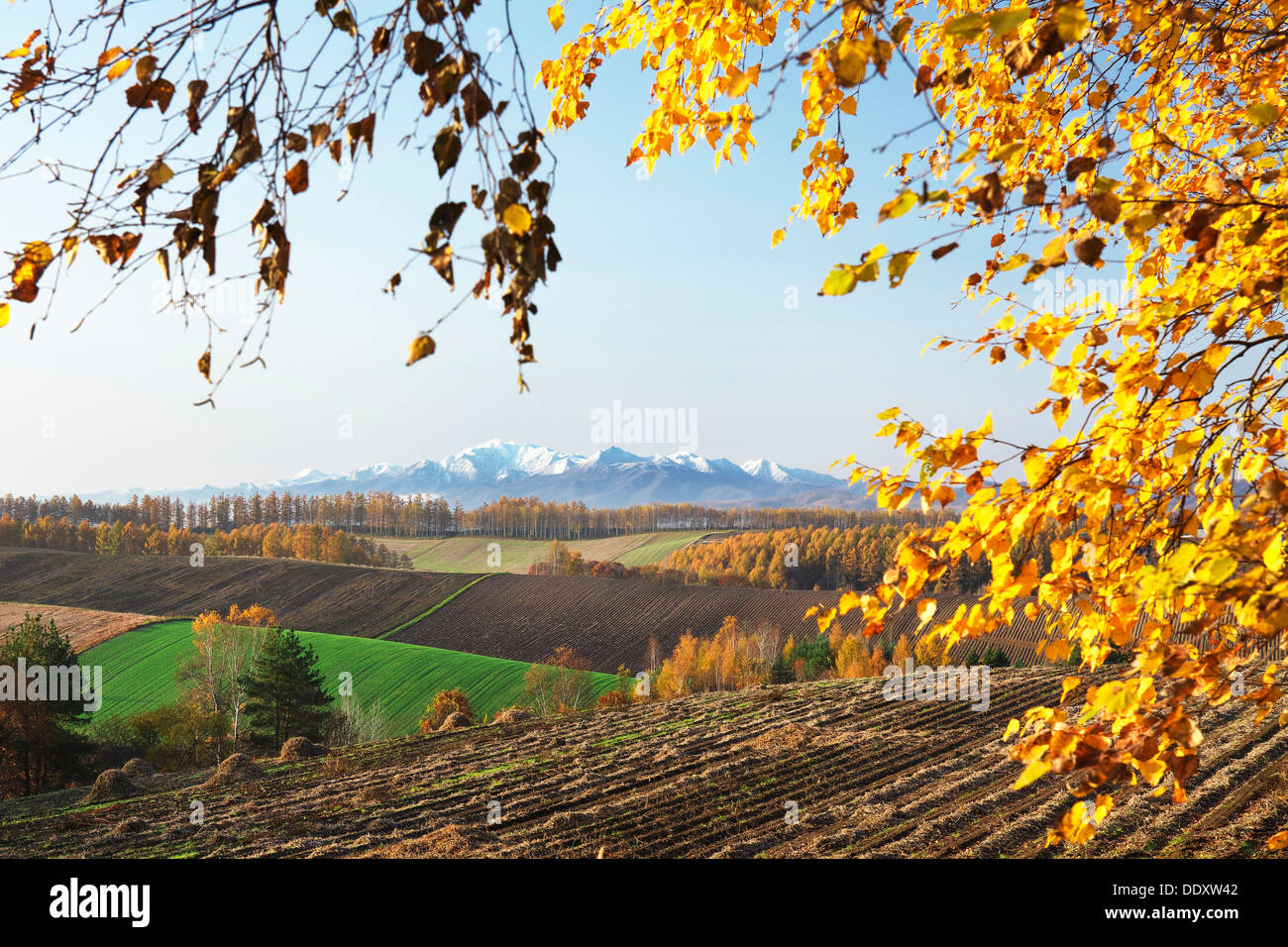 Mount Ashibetsu and Biei countryside, Hokkaido Stock Photo - Alamy