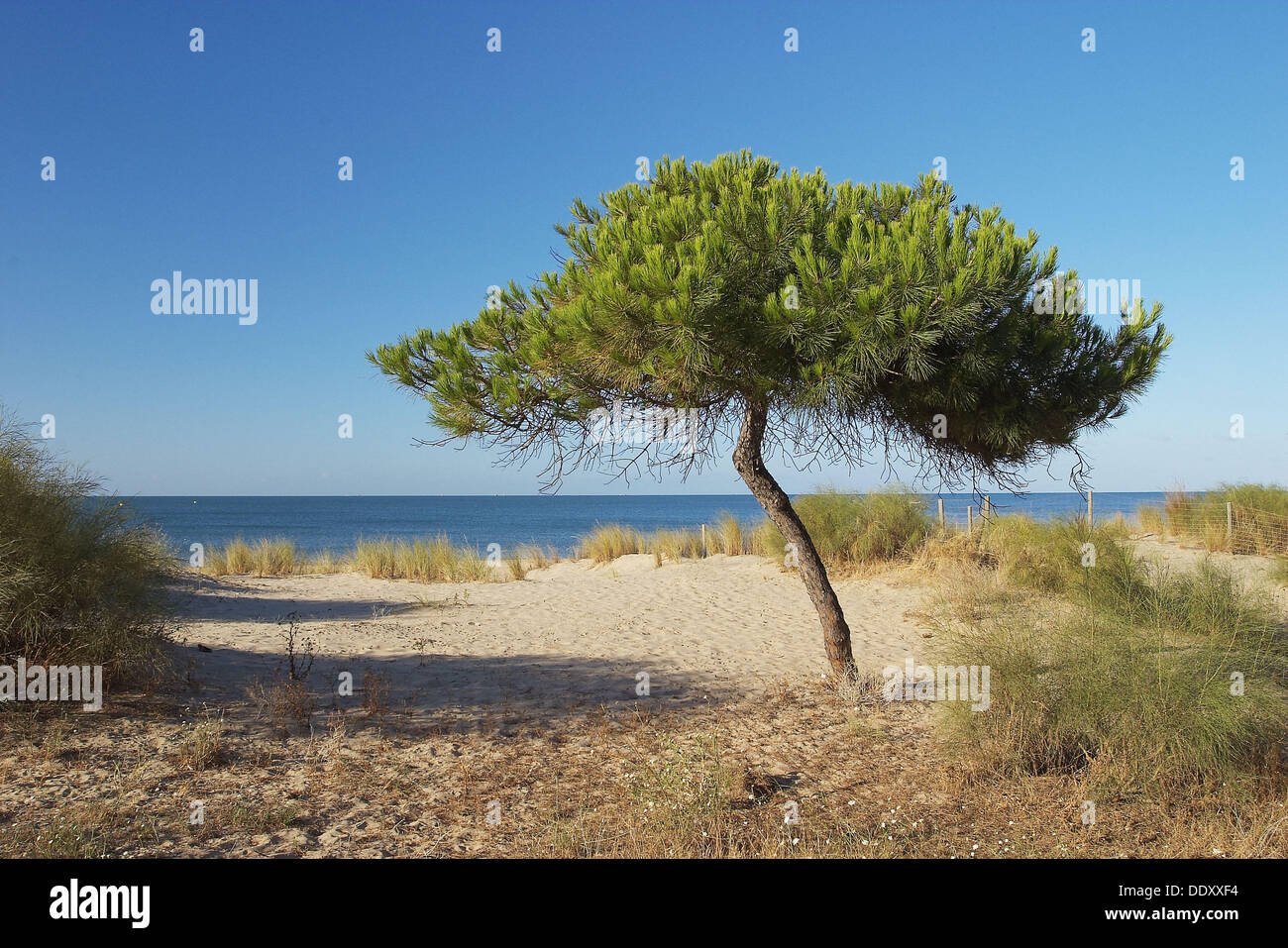 Antilla beach hi-res stock photography and images - Alamy