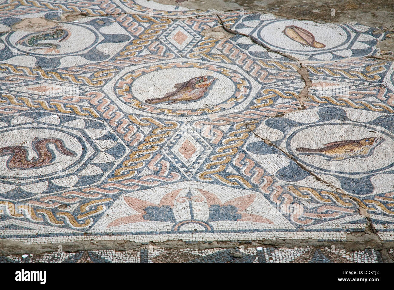 Architecture ancient world amphitheatre floor hi-res stock photography ...