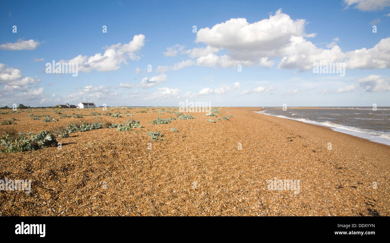 Beach and sea with distant detached bungalow Shingle Street, Suffolk ...