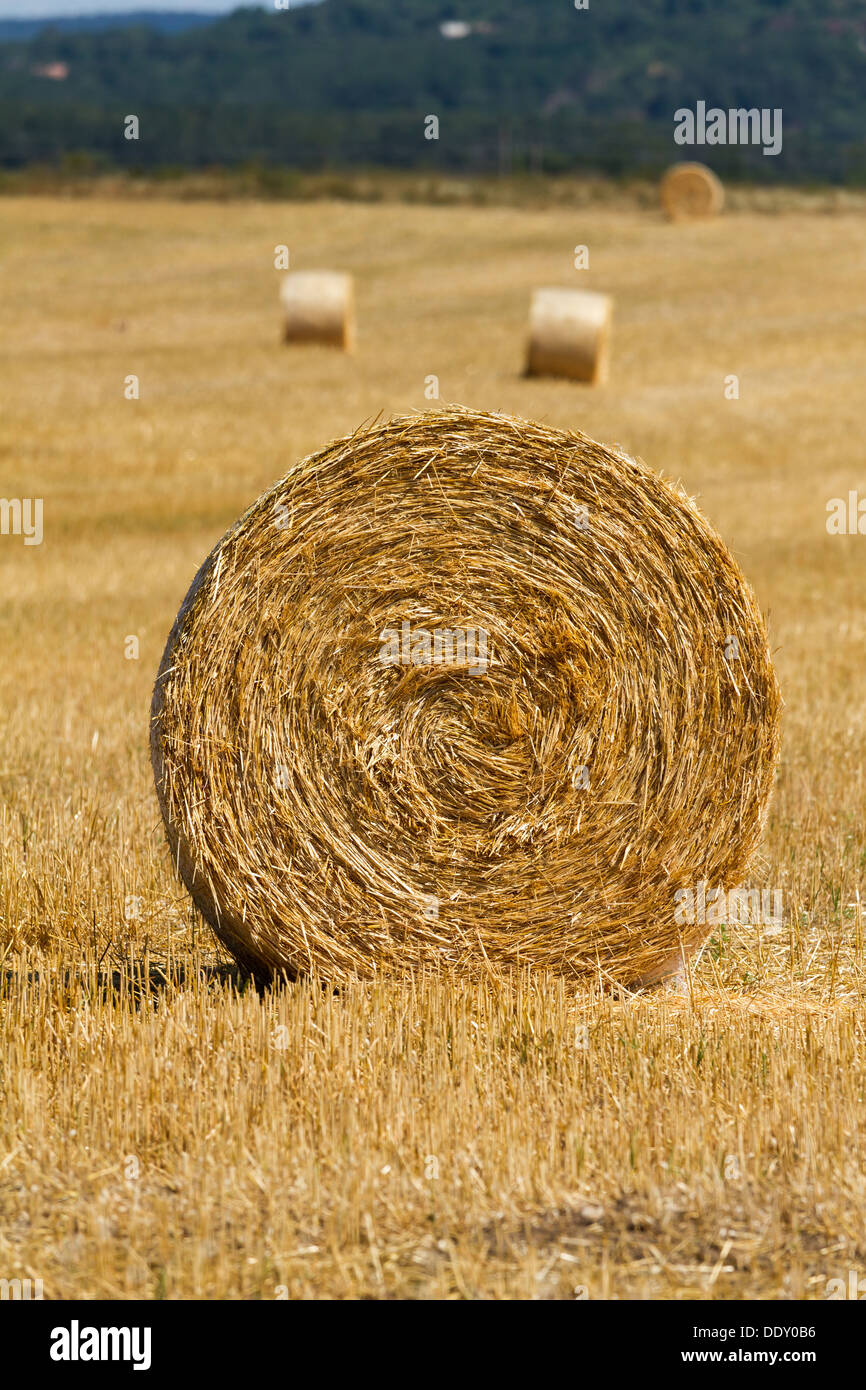 Straw bales in the light of sunset Stock Photo - Alamy