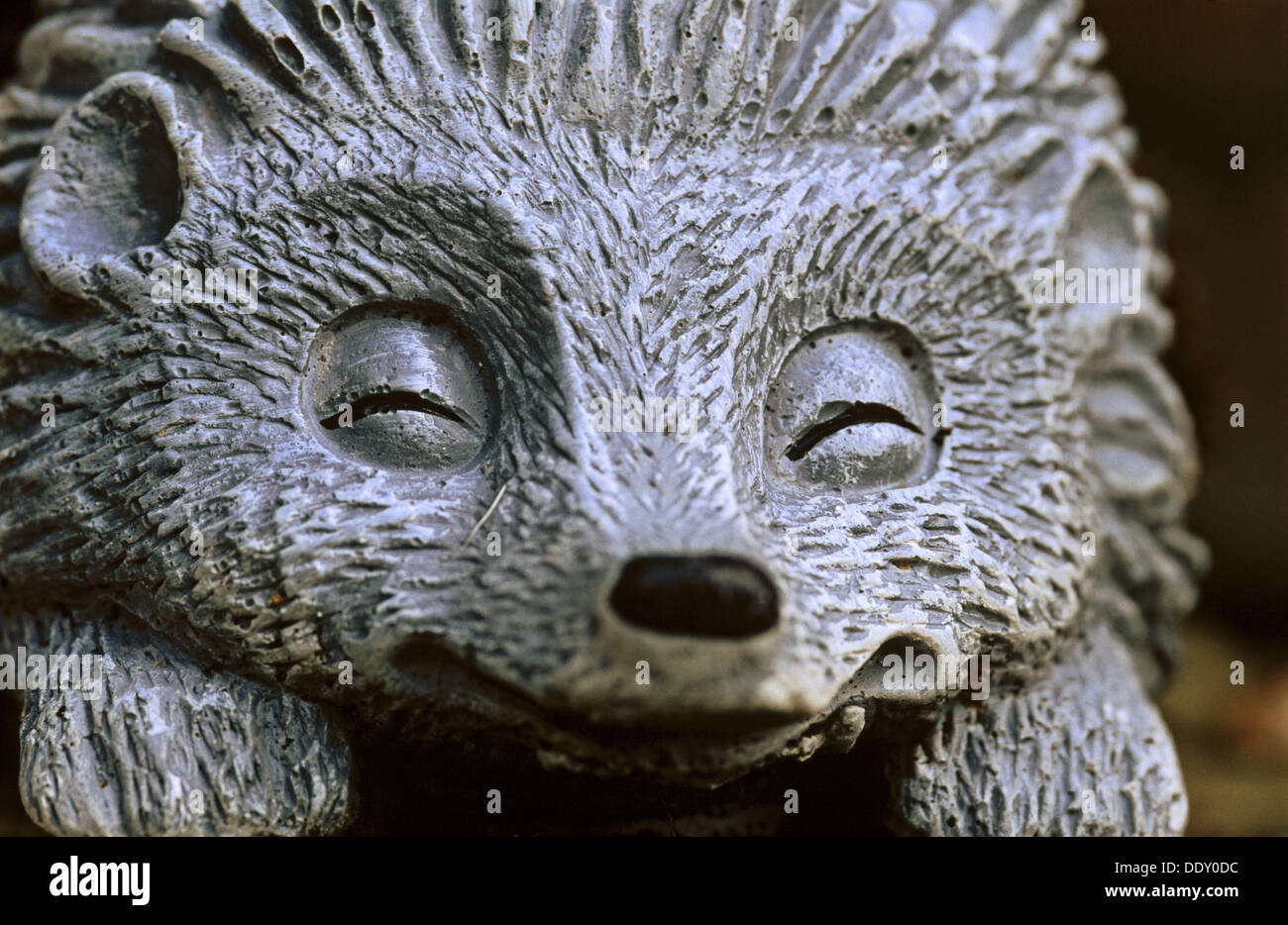 Hedgehog Face Close Up High Resolution Stock Photography and Images - Alamy