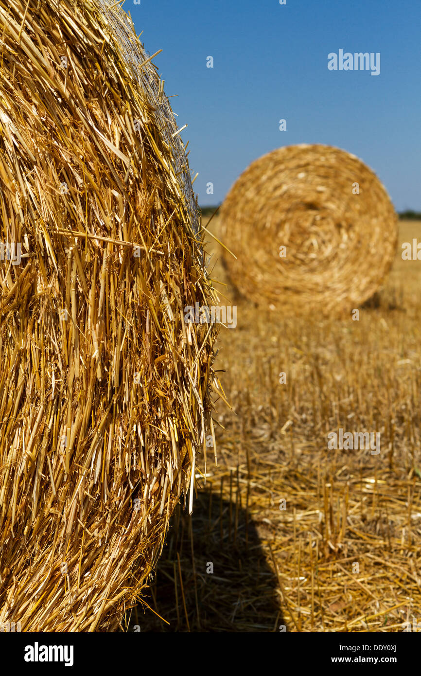 Straw bales in the light of sunset Stock Photo - Alamy