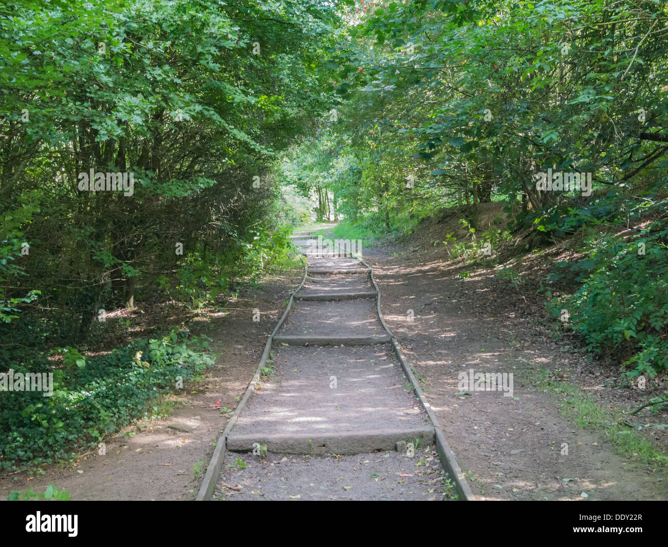 Enclosed forest and nature reserve in Belper, Derbyshire, United ...