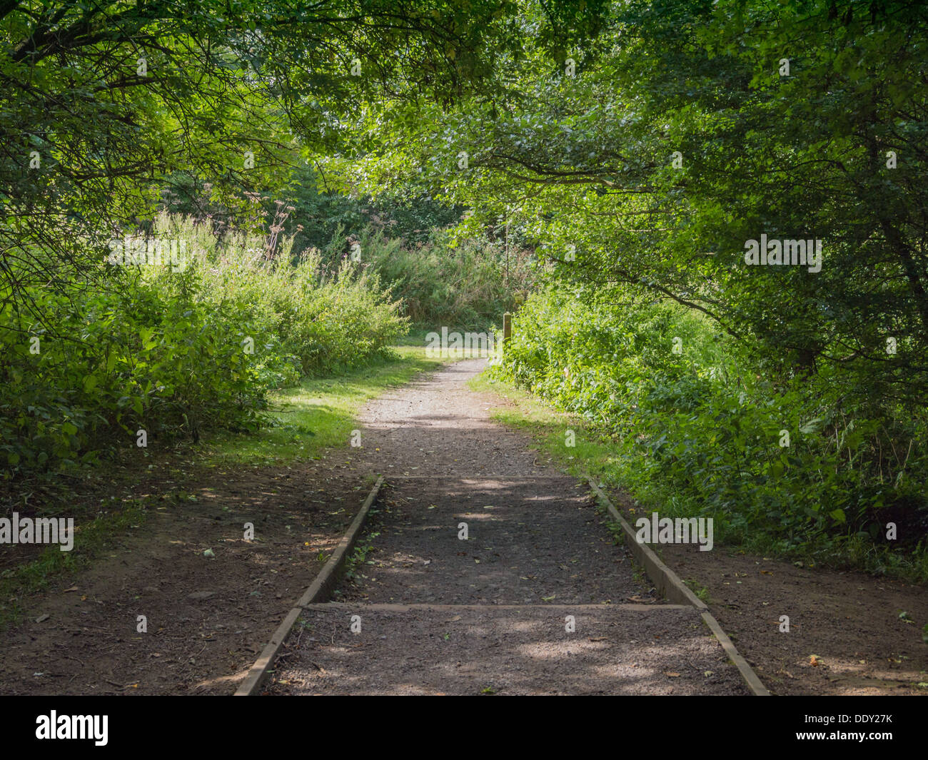 Enclosed forest and nature reserve in Belper, Derbyshire, United ...