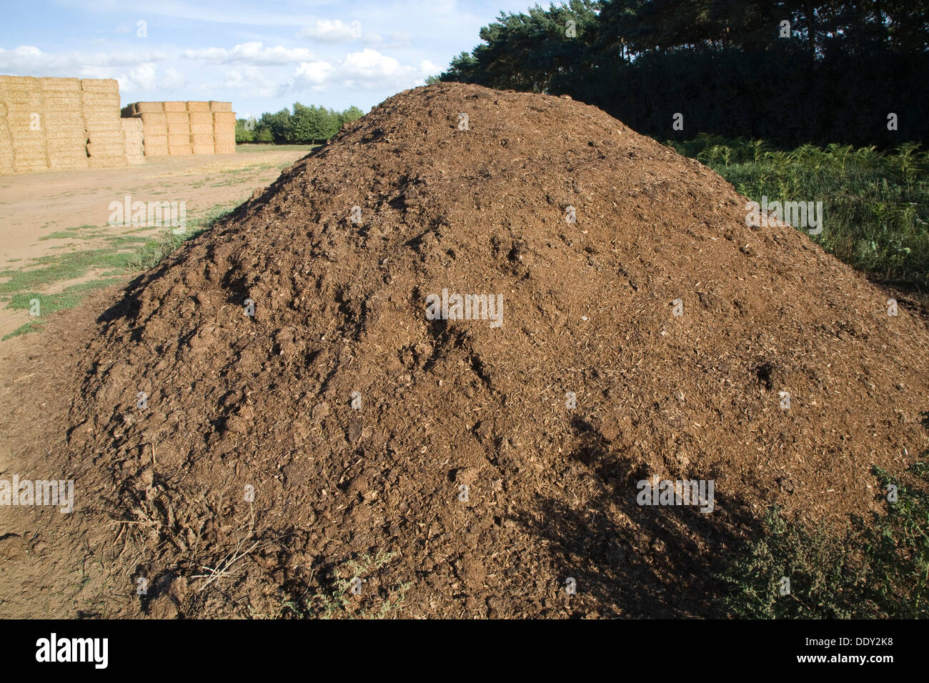 Rotted manure hi-res stock photography and images - Alamy