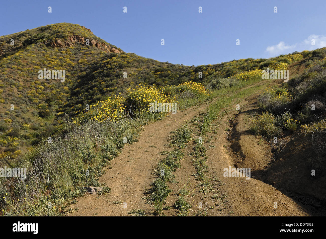 Fire access road hi-res stock photography and images - Alamy