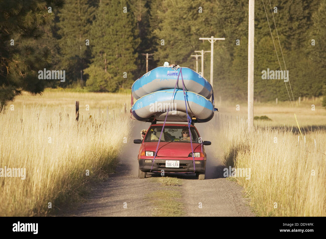 Woman in a car with a dog hi-res stock photography and images - Alamy