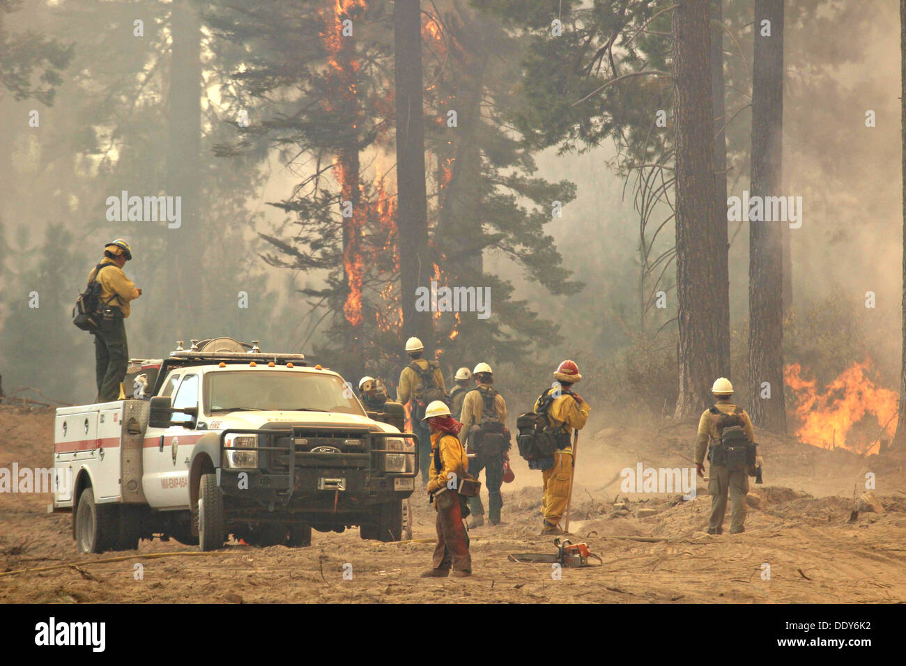 USDA fire crews hold the line on the southern flank of the Rim Fire ...