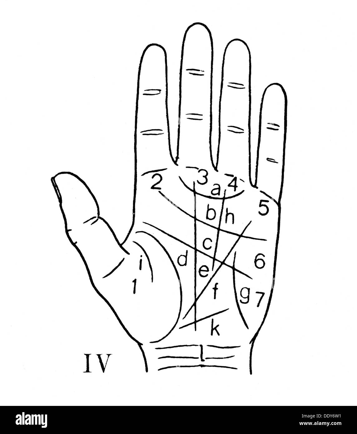 Lines the hand hand Cut Out Stock Images & Pictures - Alamy