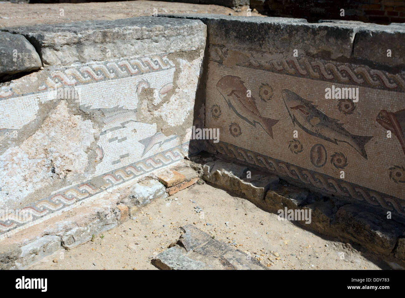 Roman mosaic fish hi-res stock photography and images - Alamy