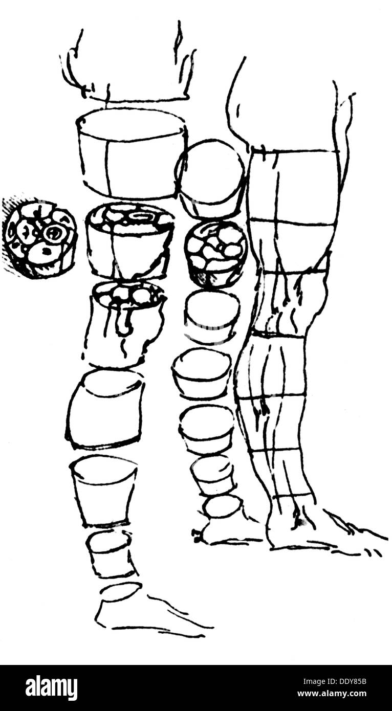 Leonardo da Vinci, 15.4.1452 - 2.5.1519, Italian painter and sculptor ...