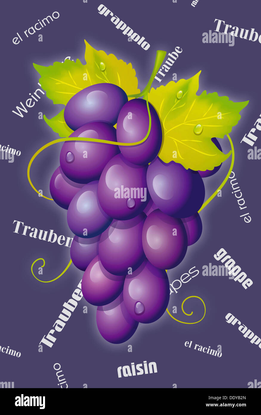 Grapes with writing in different languages, illustration Stock Photo ...