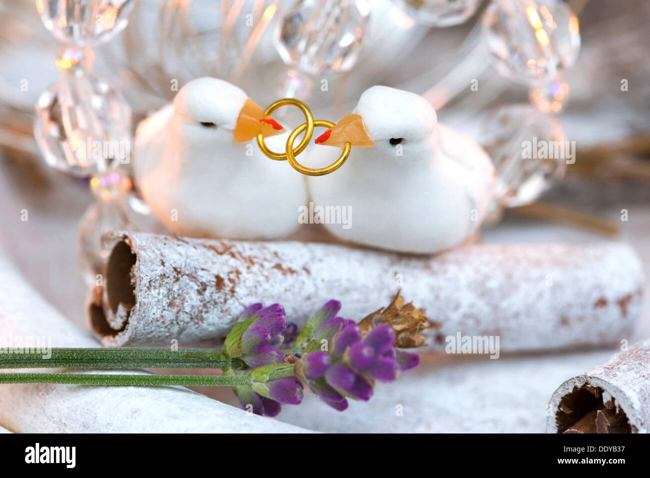Wedding birds 60 photos - Astyledwedding.com