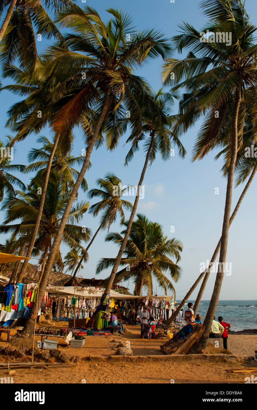 Native trees of india hi-res stock photography and images - Alamy