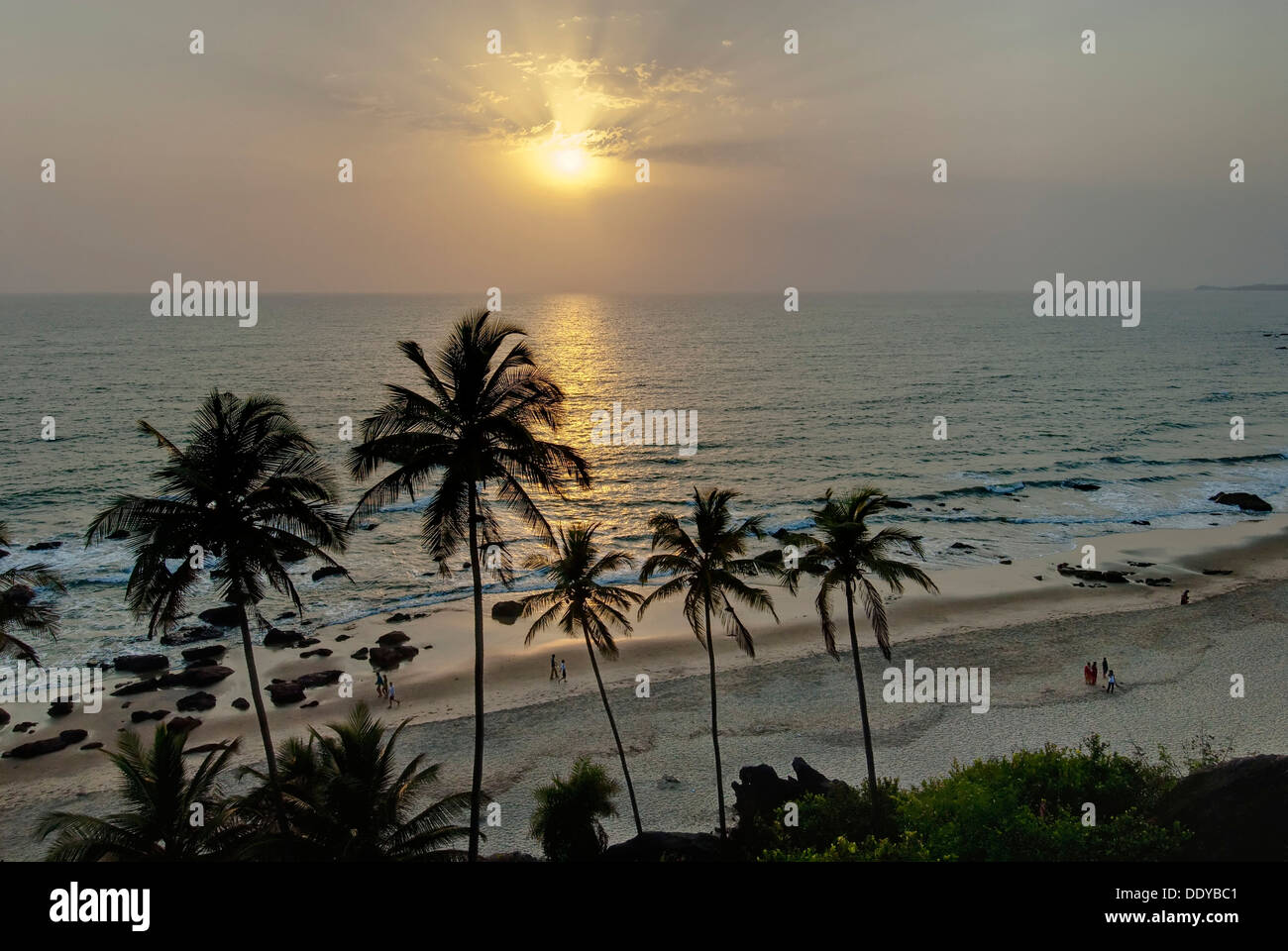 Sunset with palm trees on the beach, Arambol Goa, India, Asia Stock ...