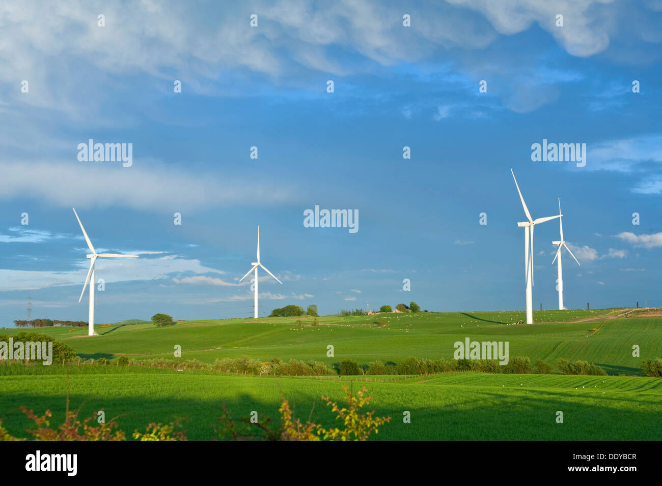 Little Raith Wind Farm Mossmorran Fife Scotland Stock Photo - Alamy