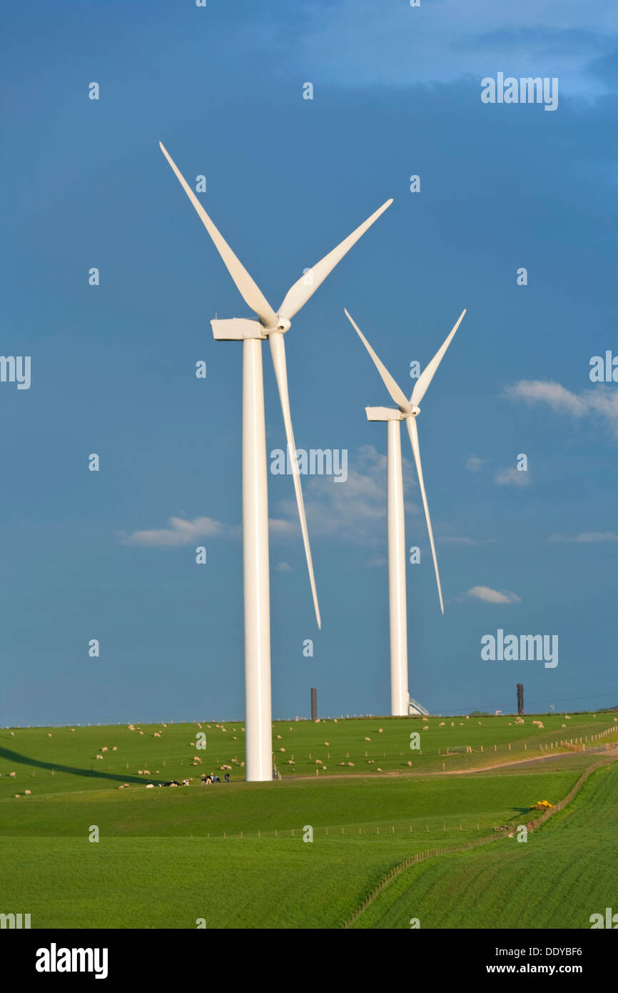 Little Raith Wind Farm Mossmorran Fife Scotland Stock Photo - Alamy