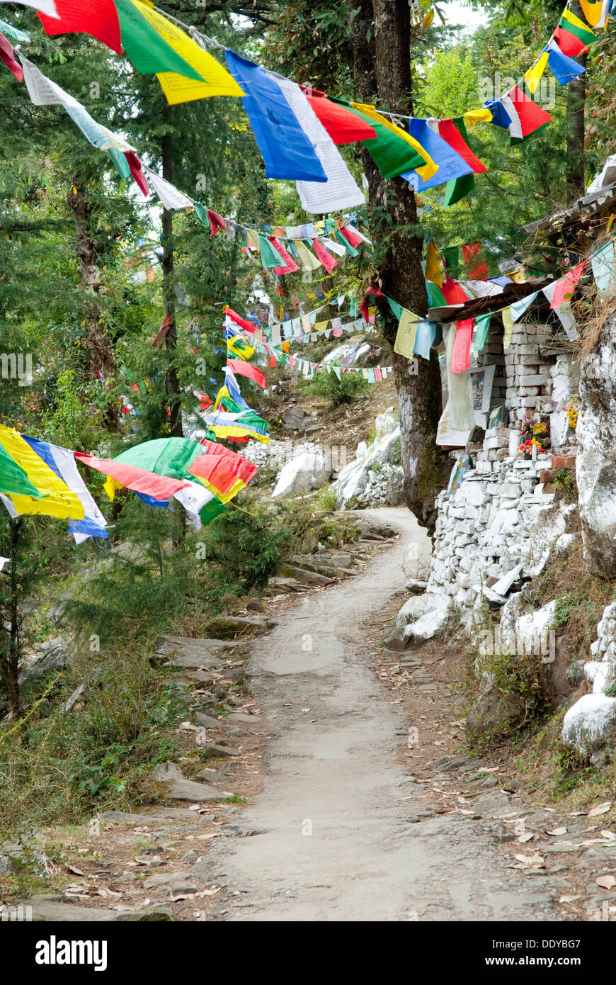 Tibetan buddhist prayer flag hi-res stock photography and images - Alamy