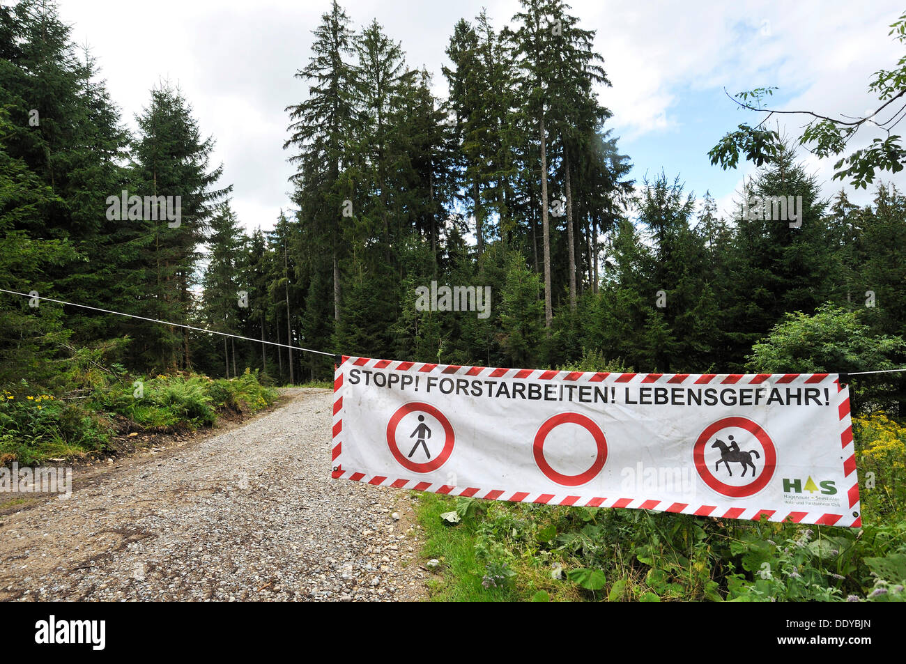 Barrier, warning of forestry work in the forest near Wenger-Egg-Alpe ...