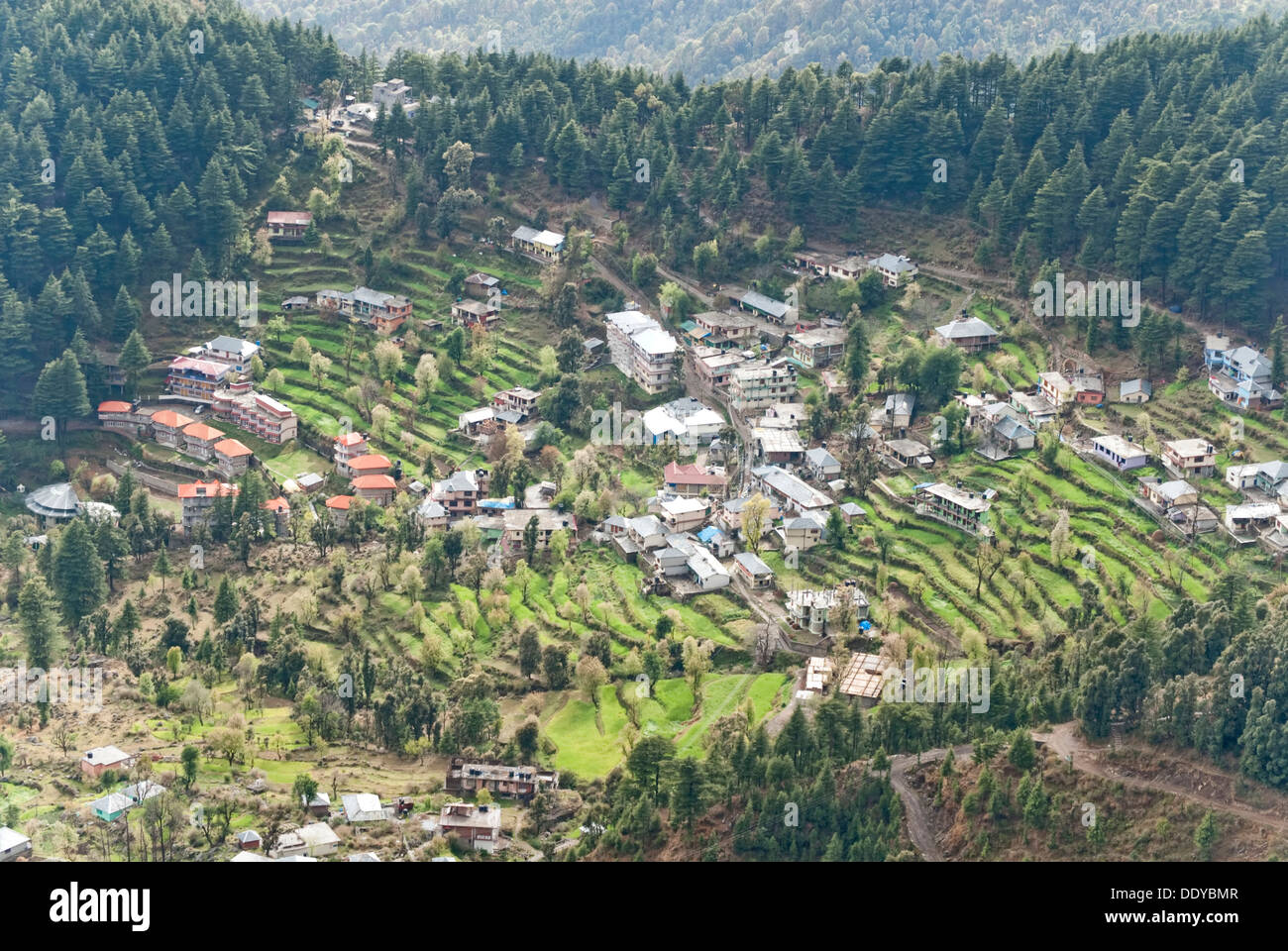 Houses built on terraced fields, Triund, Dharamsala, India, Asia Stock ...
