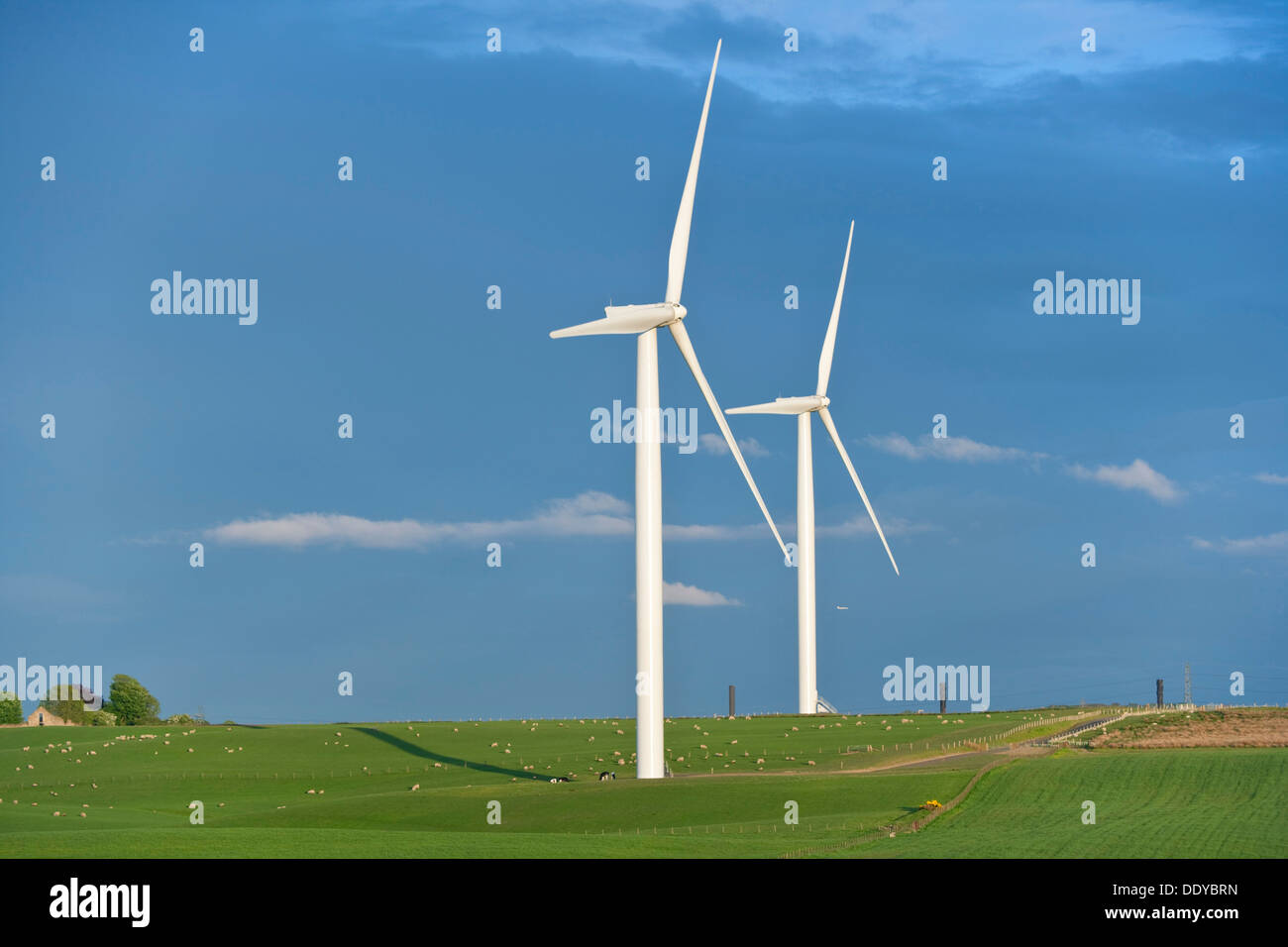 Little Raith Wind Farm Mossmorran Fife Scotland Stock Photo - Alamy