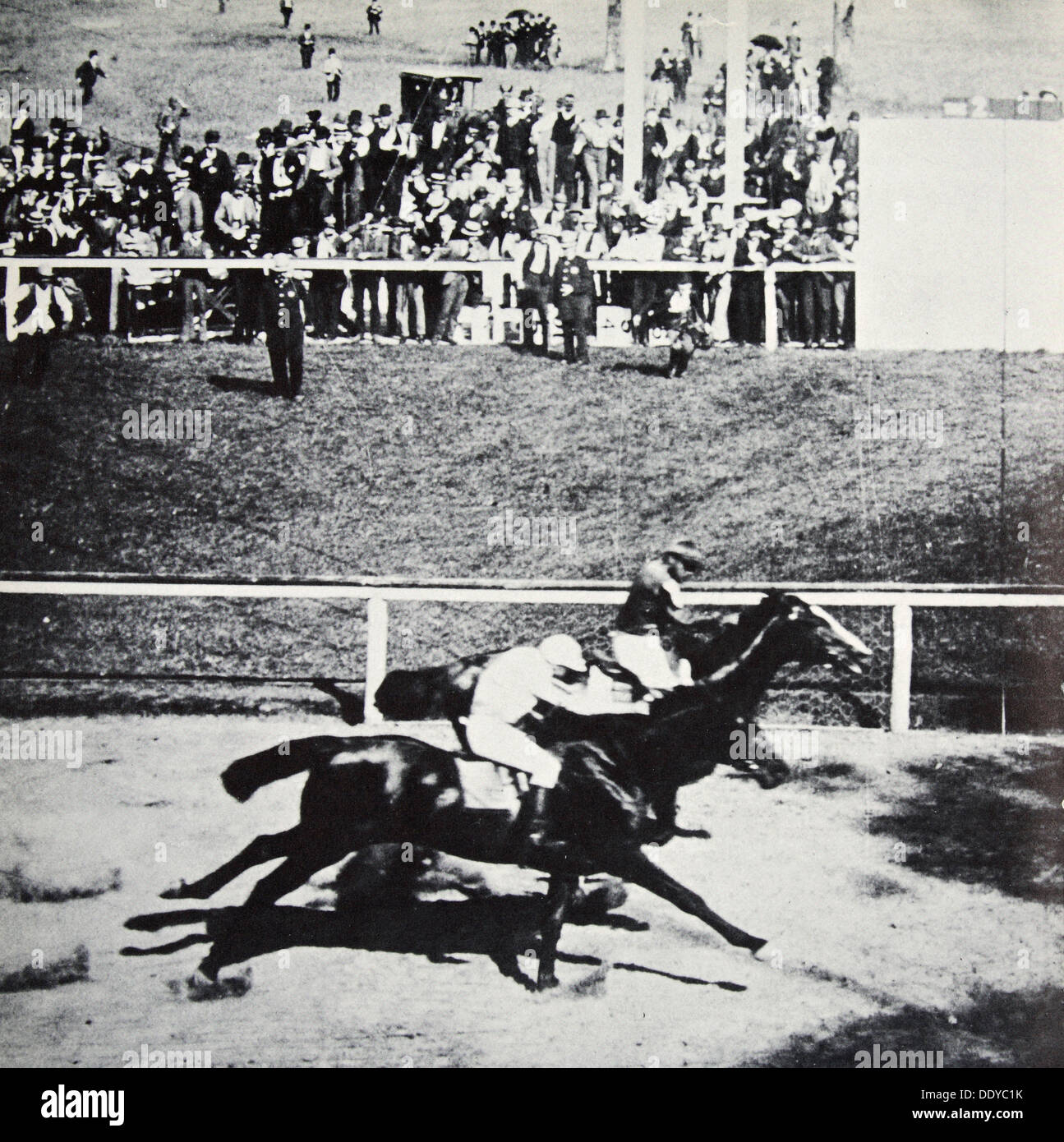 Sheepshead bay race track hi-res stock photography and images - Alamy