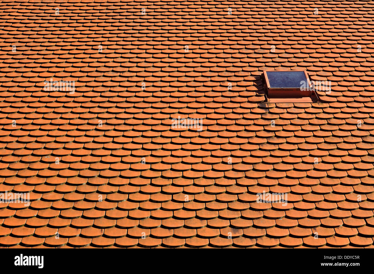 Beavertail roof tiles and a roof hatch, Schaeftlarn, Bavaria Stock ...