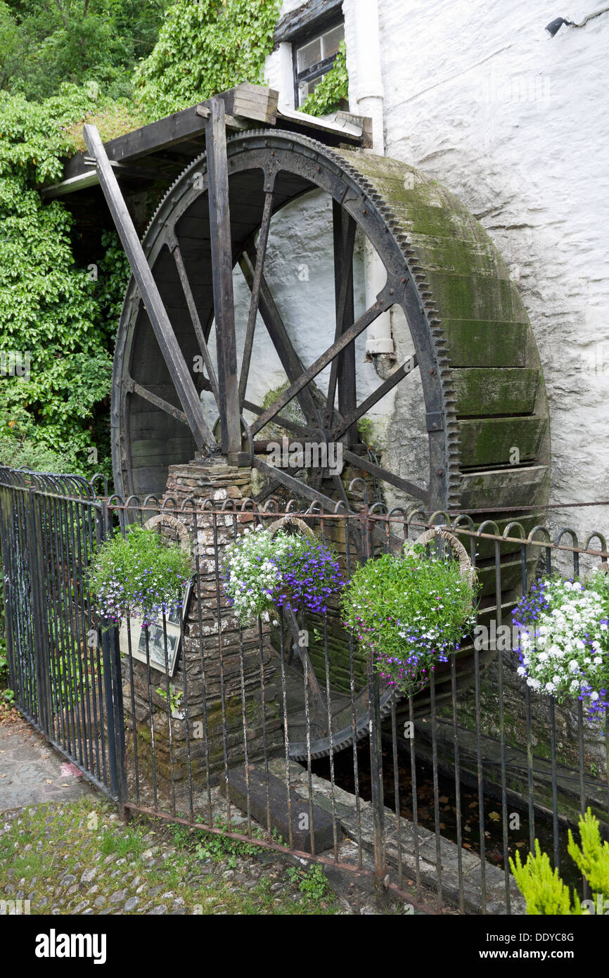 Crumplehorn hi-res stock photography and images - Alamy