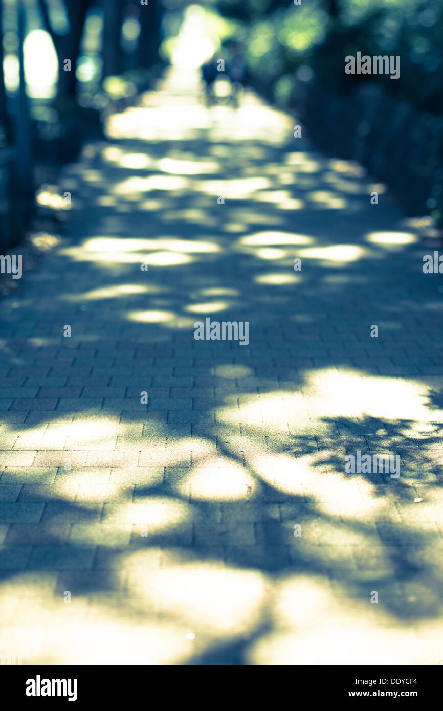 Sidewalk in shinjuku hi-res stock photography and images - Alamy