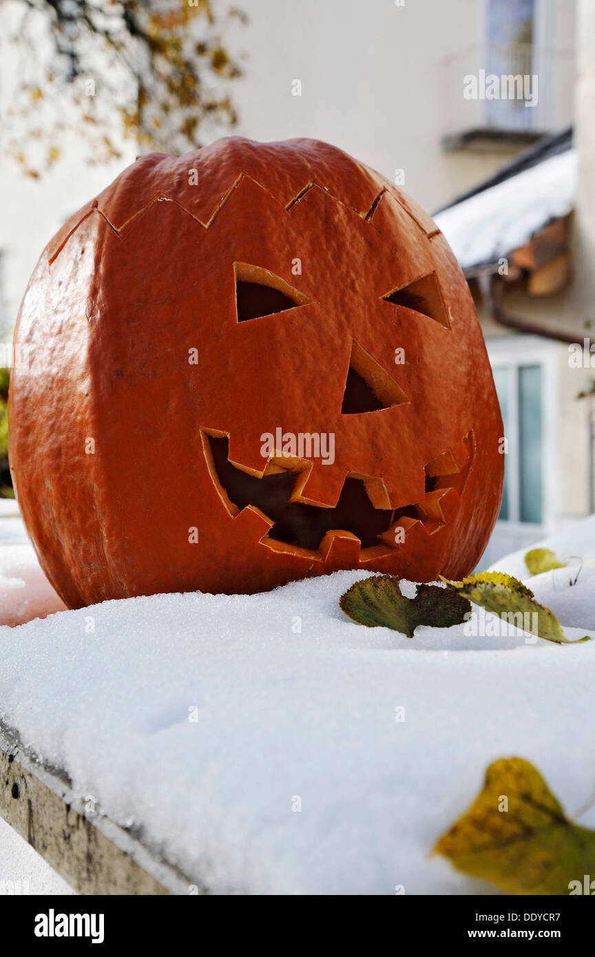 Snowy Halloween