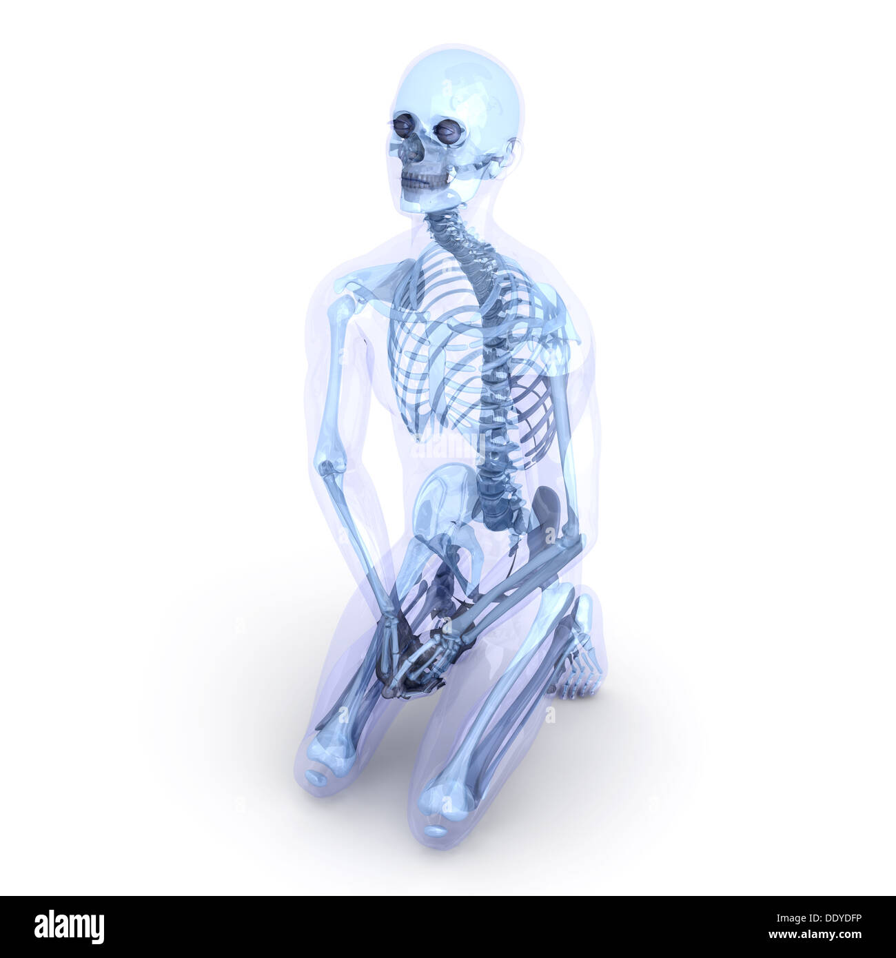 A male, human, translucent Body. Anatomy visualization. 3D rendered ...