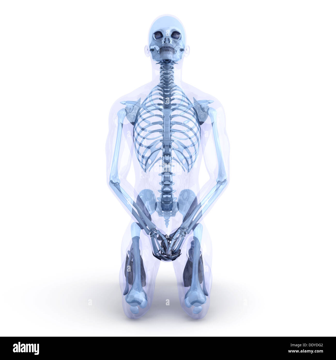A male, human, translucent Body. Anatomy visualization. 3D rendered ...