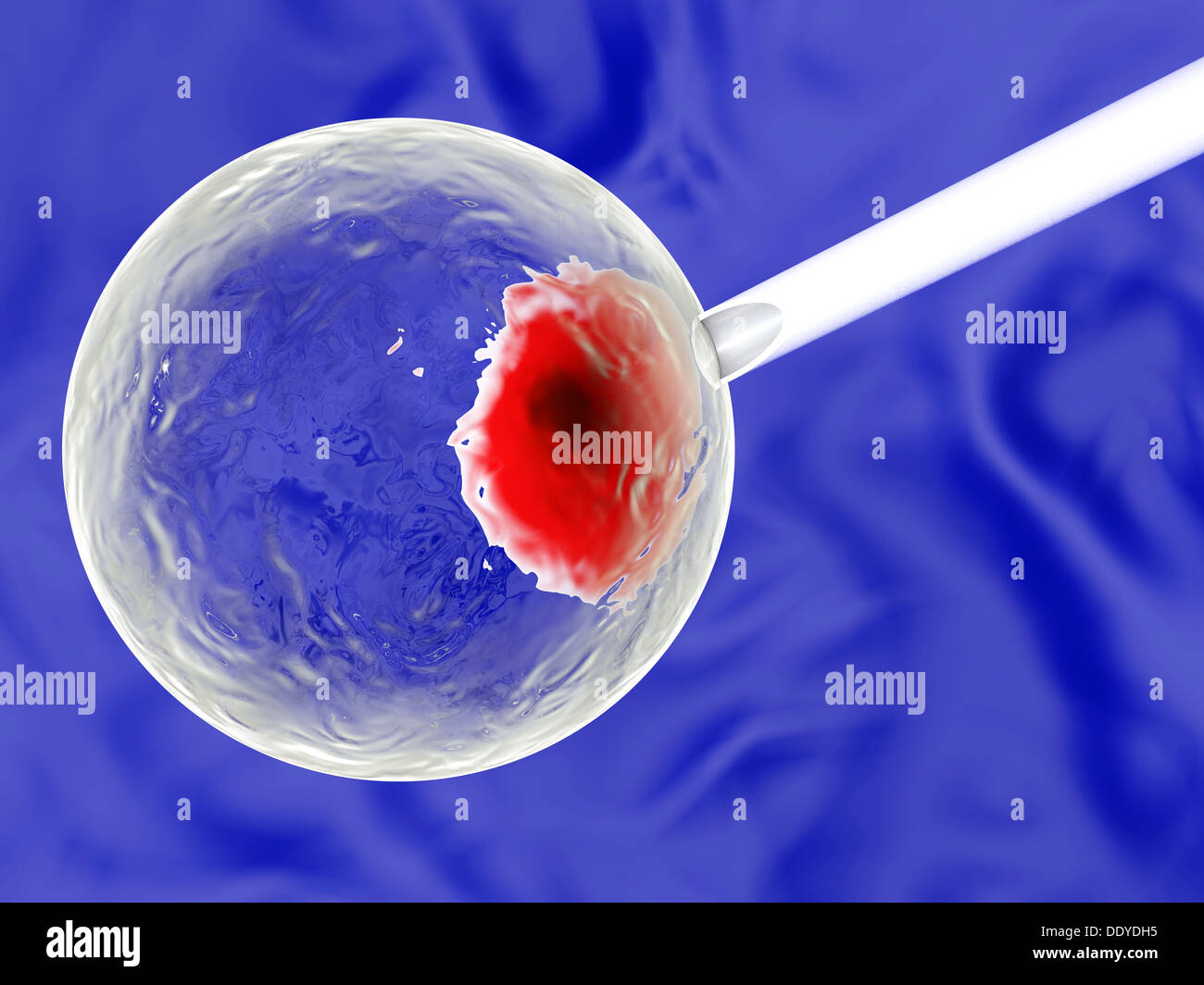 Injecting DNA into a stem cell. 3D rendered Illustration Stock Photo ...
